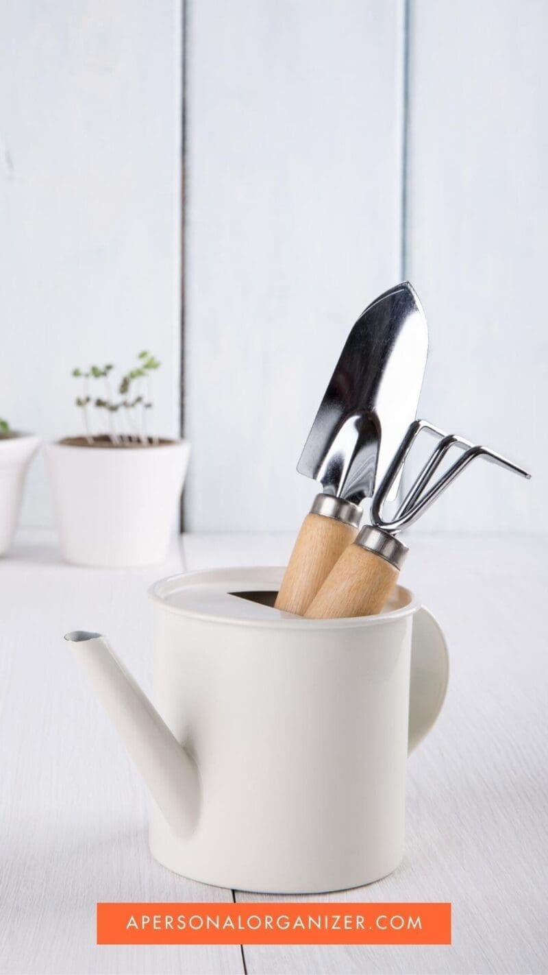 10 Easy Steps to Start a Garden at Home Today